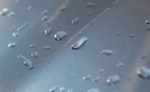 Why Did My Ceramic Coating Stop Water Beading? | Diamond Plate